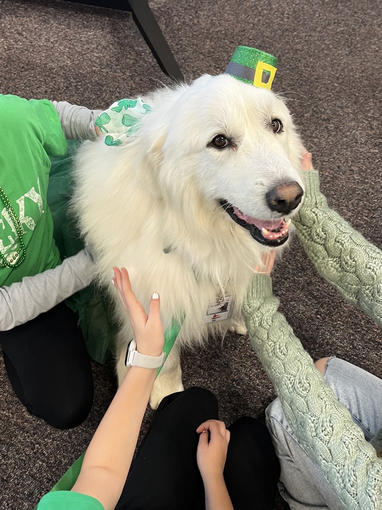 Live Feed | Palombi Middle School